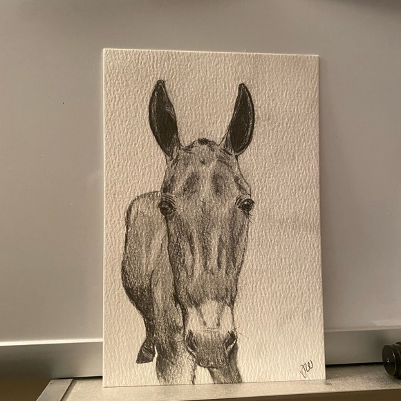 Art | Mule Pencil Drawing | Poshmark